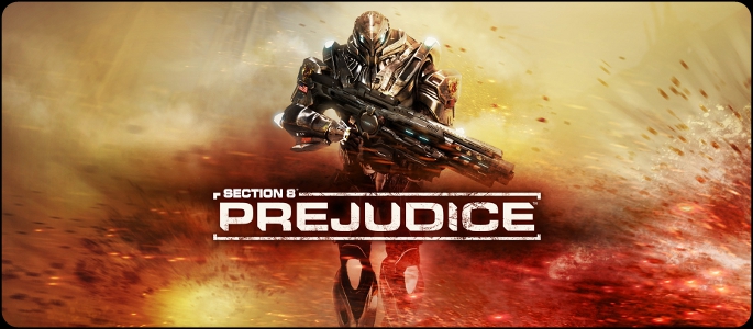 PSN Review - Section 8: Prejudice