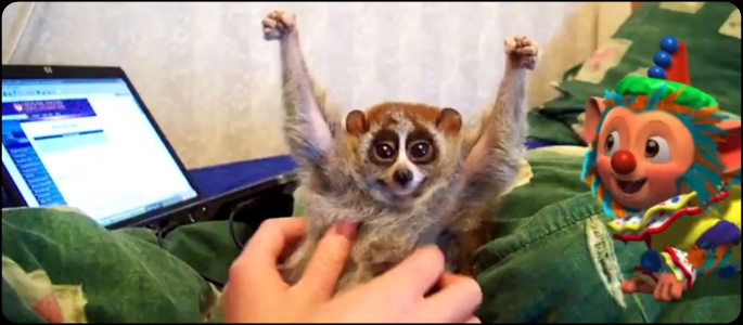 Sony Advert Shows You What You Could be Doing Instead of Playing EyePet