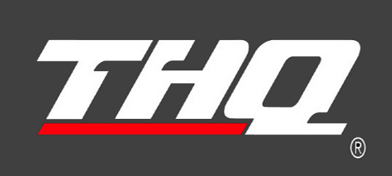 Rubin: Four New Titles in Development at THQ's Internal Studios