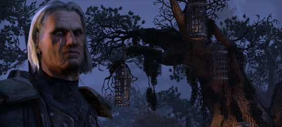 The Elder Scrolls Online Voice Cast Includes John Cleese, Jennifer Hale ...
