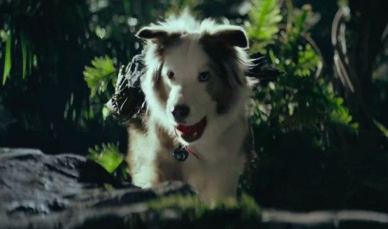 Shadow of the Tomb Raider Trailer Spoof Celebrates Dogs in all Their Glory