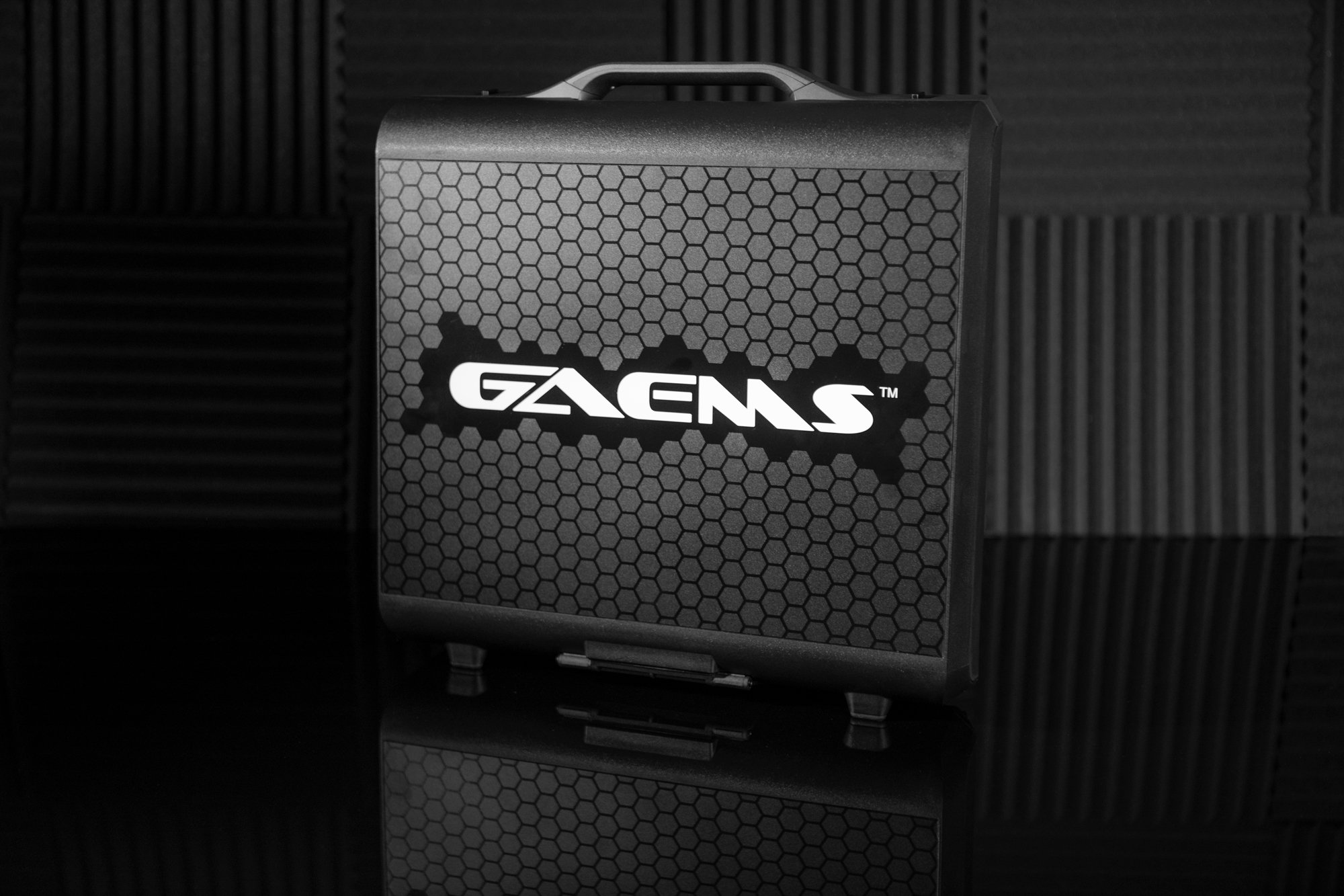GAEMS Sentinel Review - Your Console on the Go