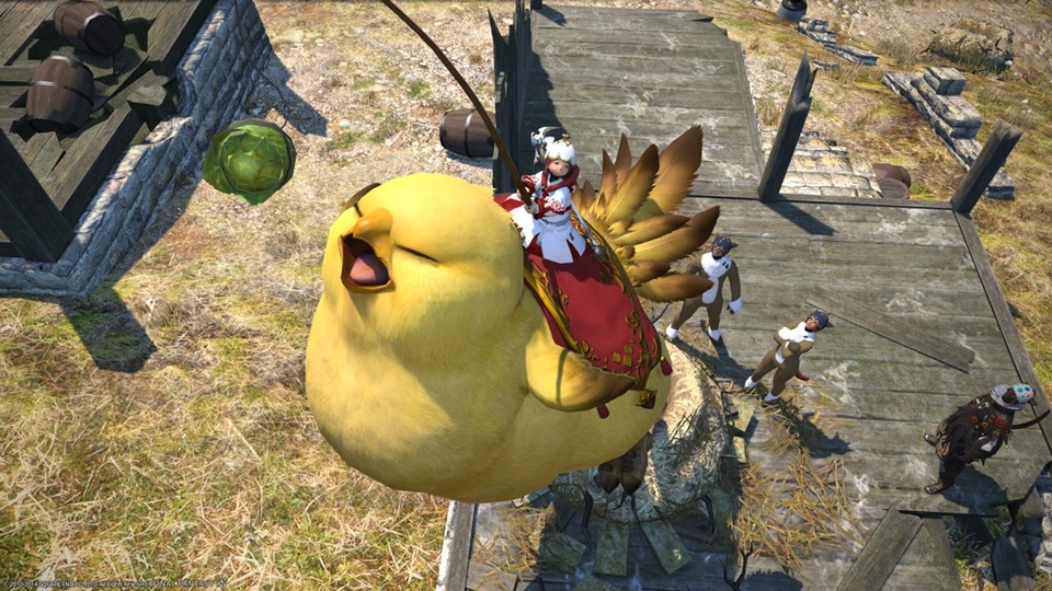 Chocobo Ff14