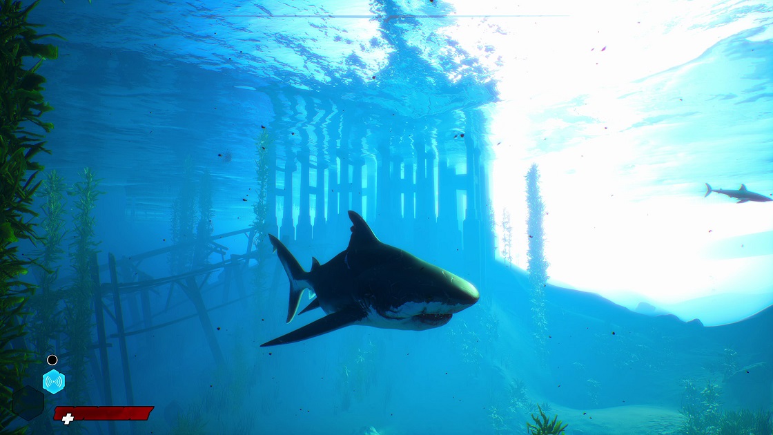 Maneater DLC Will Get you Back Behind the Jaws of a Shark 'Soon'