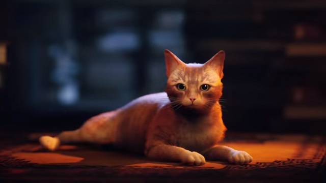 Stray Release Date Announced, Included in PS Plus Extra and Premium at ...
