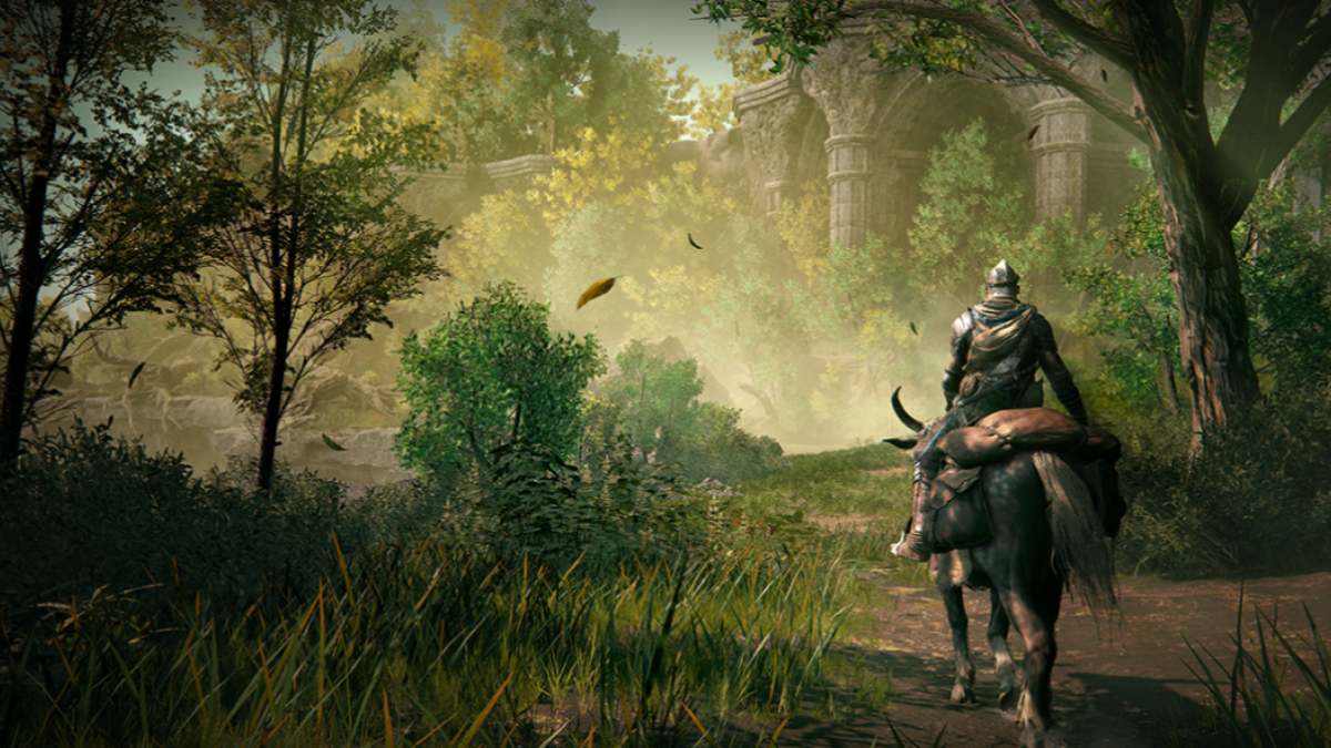 Elden Ring Not Locked 60 FPS on PS5 Pro - PlayStation LifeStyle