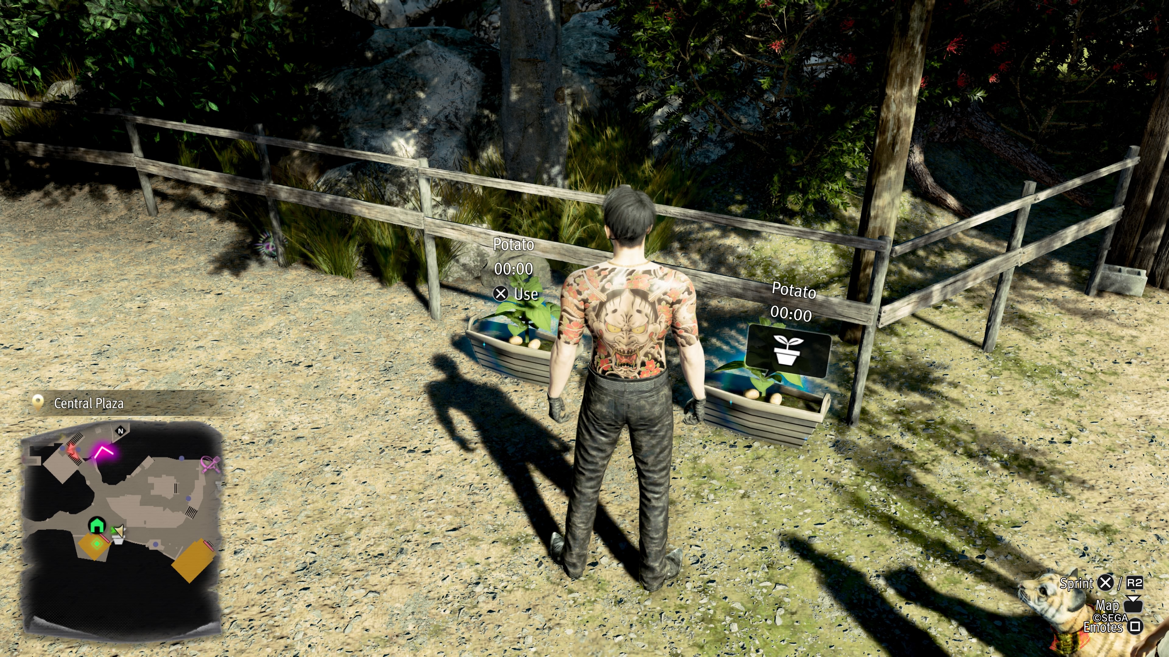 Pirate Yakuza in Hawaii Unlock Ship Customization: When Can You Change ...